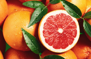 Sleep Pack#N# – Momentous