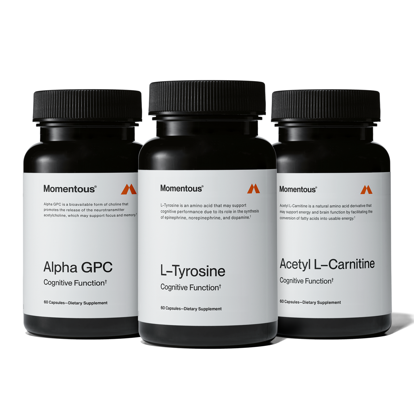 Cognitive Supplements - Nootropics to Fuel Your Brain – Momentous